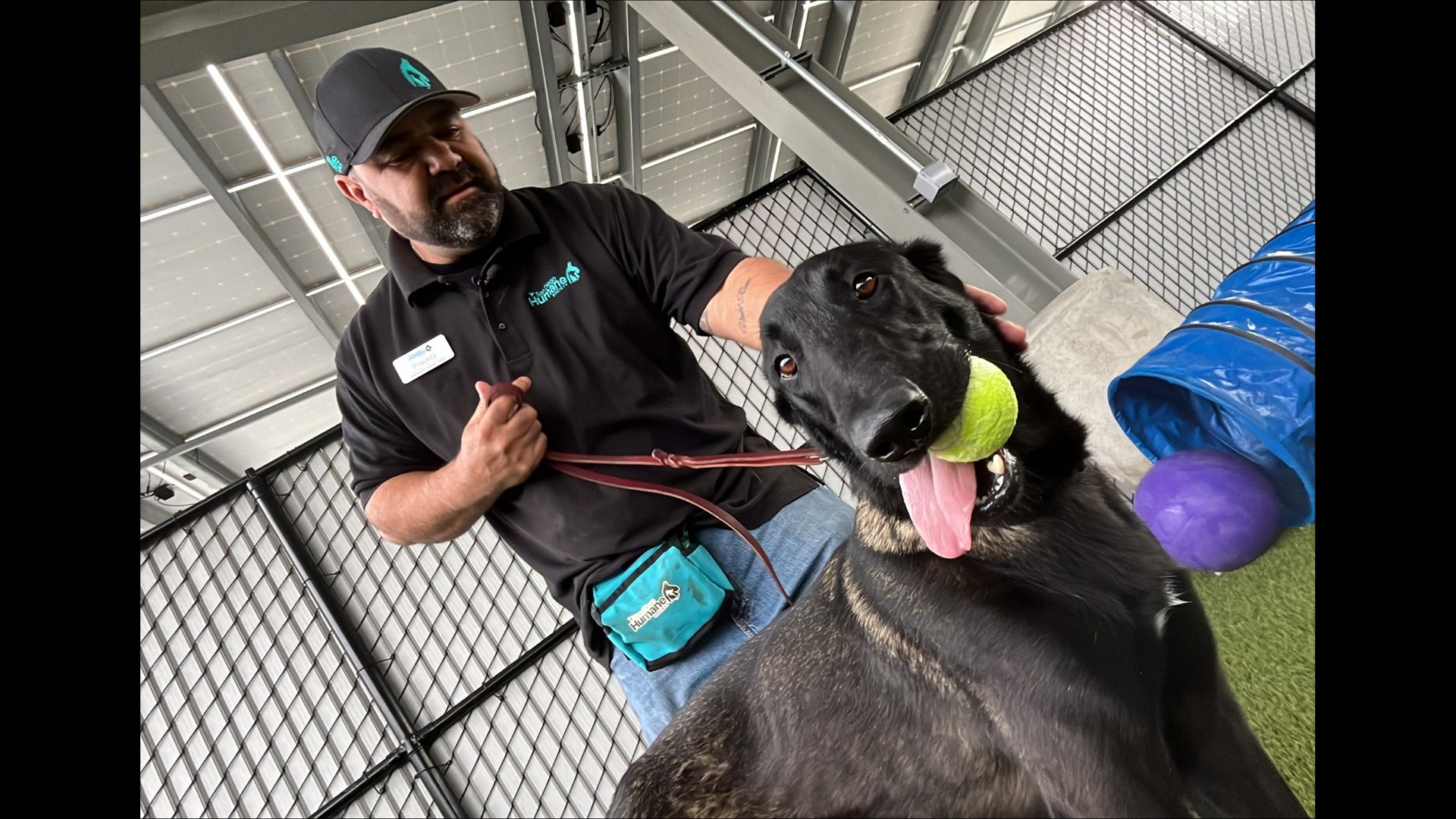 Si, habla Espanol | San Diego Humane Society learns Spanish | cbs8.com