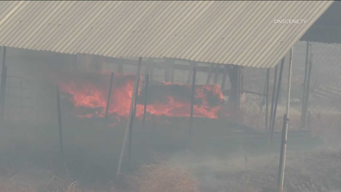 What you need to know and do to be prepared ahead of a wildfire | cbs8.com