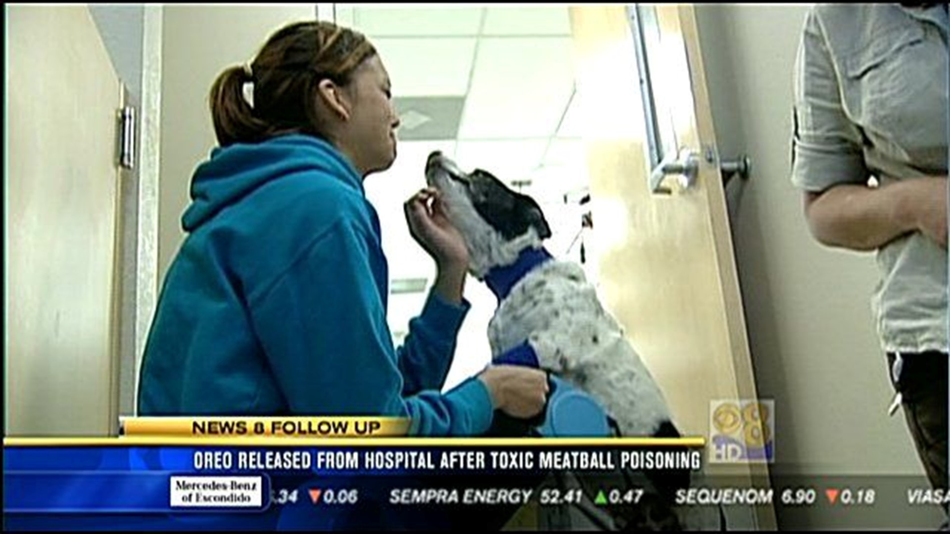 Oreo released from hospital after toxic meatball poisoning | cbs8.com