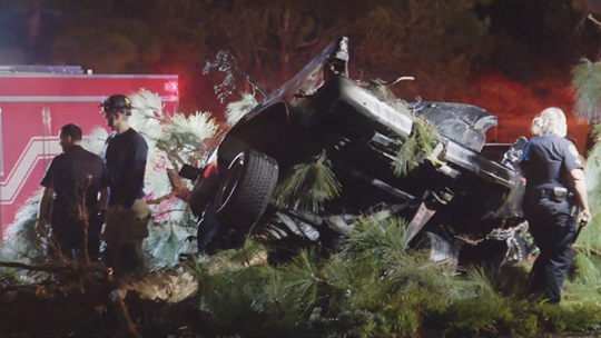 Driver loses control of truck and hits tree leaving three dead | cbs8.com