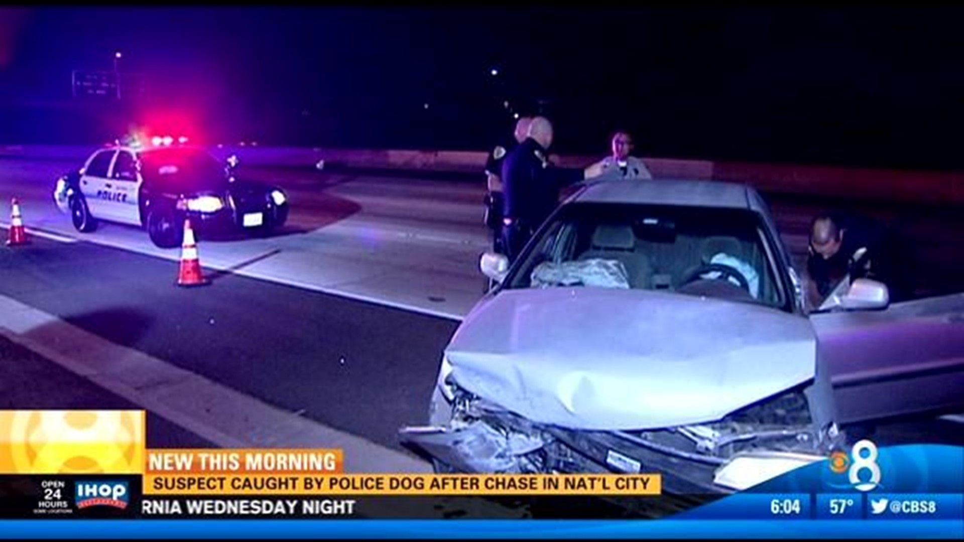 Suspect caught by police dog after chase in National City | cbs8.com