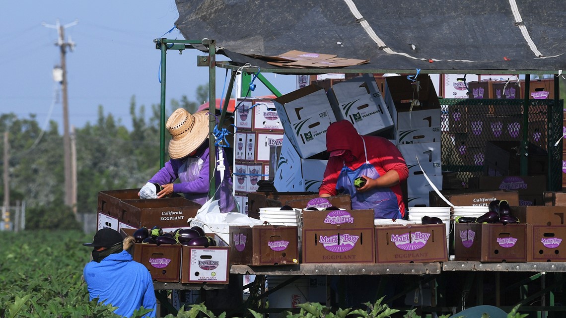 United Farm Workers grapples with how to grow | cbs8.com