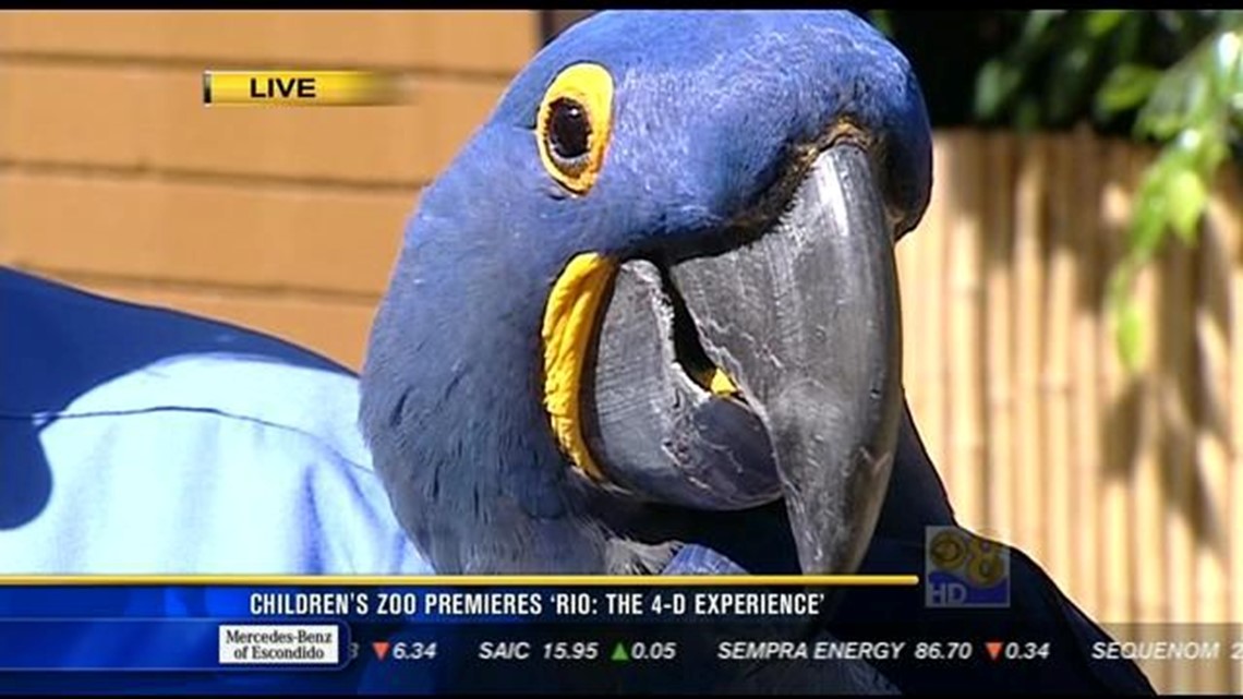 Children's Zoo premieres 'Rio: The 4-D Experience' | cbs8.com