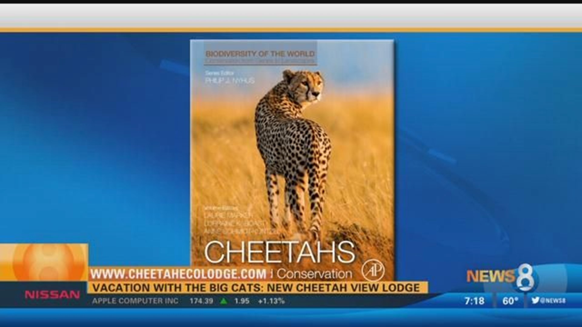 Cheetah Conservation Fund’s "Disappearing Spots Tour" | cbs8.com