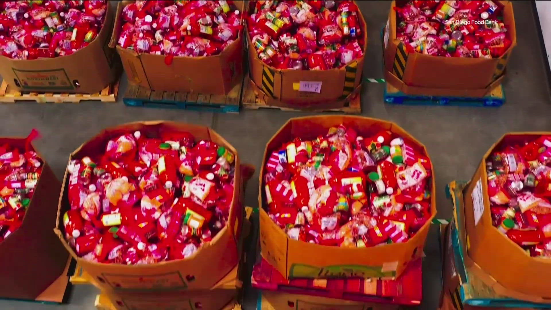 San Diego Food Bank Summer Food Drive | 2025 | cbs8.com