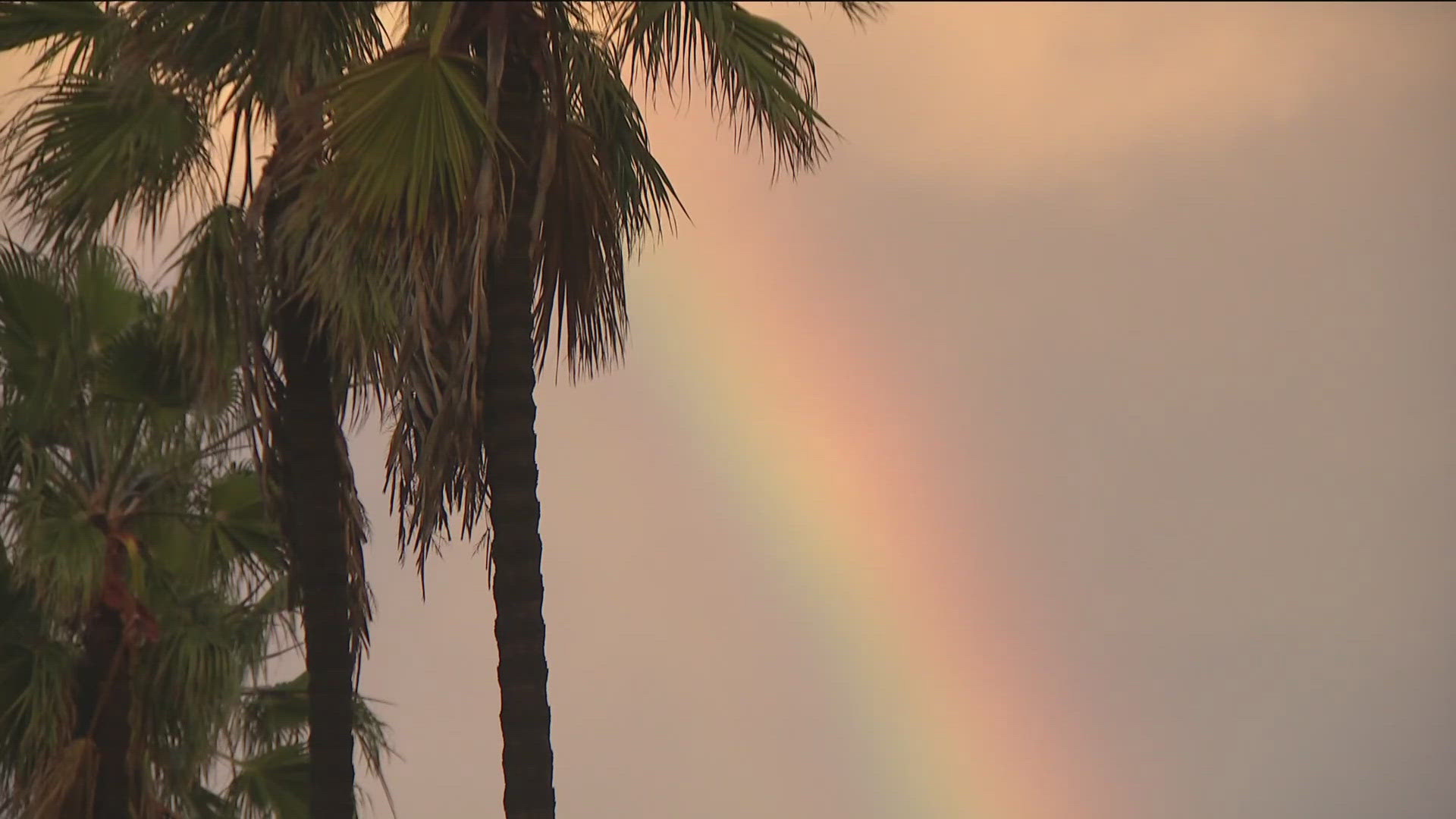 JJ Redick's kids write persuasive essays to earn their biggest ...