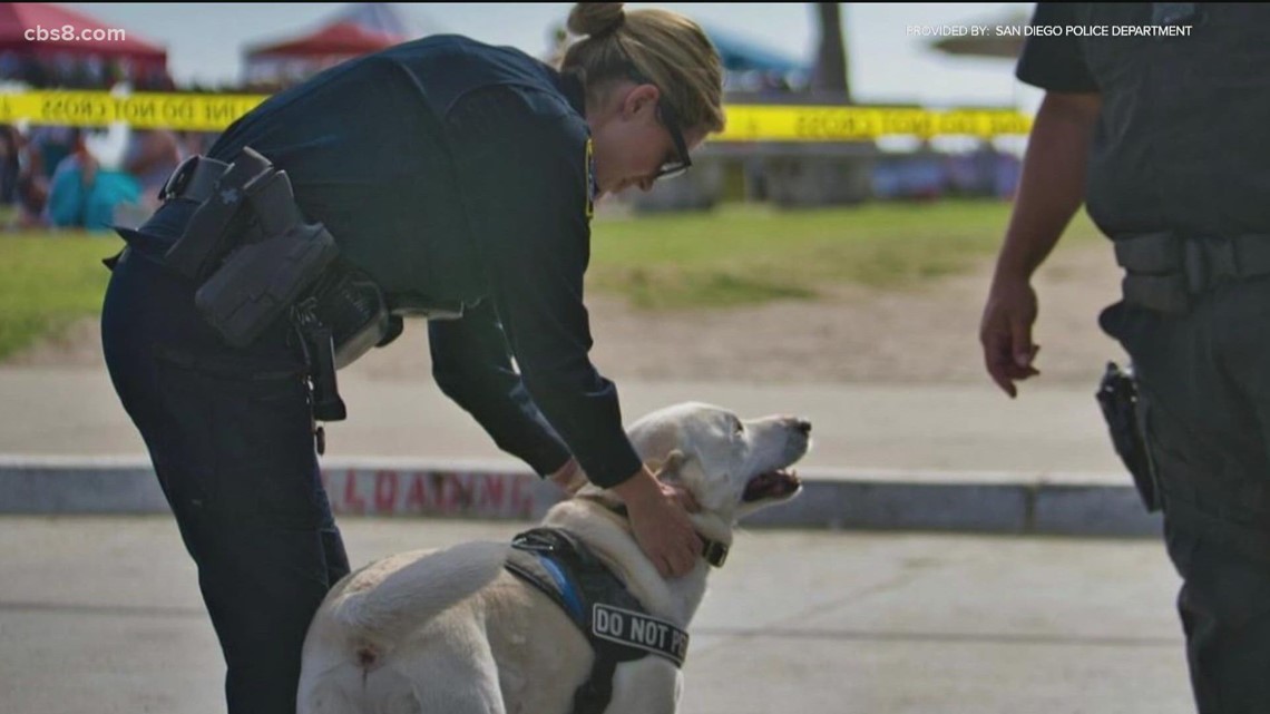 SDPD steps up efforts to recruit more female officers | cbs8.com