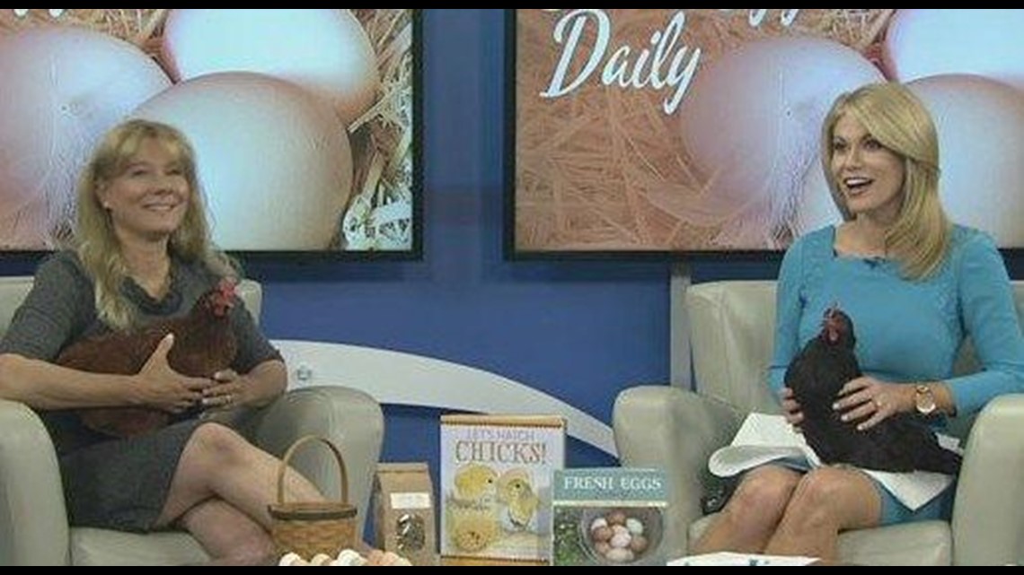 How to raise healthy, happy chickens anywhere | cbs8.com