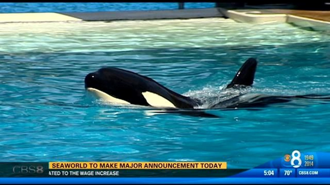SeaWorld to double size of killer whale enclosure | cbs8.com