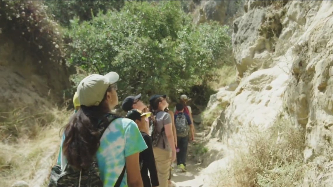 World Wildlife Day | Jennifer Bright from the Nature Collective visits ...