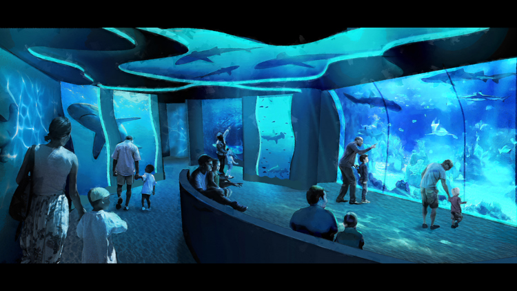 SeaWorld San Diego unveils new Shark Encounter for 2026 | cbs8.com