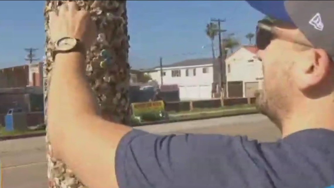 Popular 'Gum pole' in Pacific Beach replaced after more than 10 sticky ...