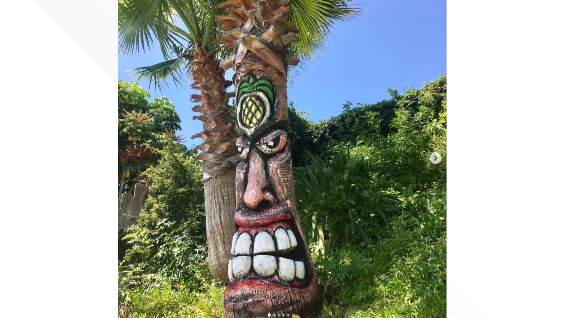 Tiki artist carves out a new life after beating cancer | cbs8.com