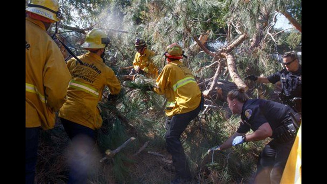 Authorities seek cause of tree fall that injured 8 children | cbs8.com