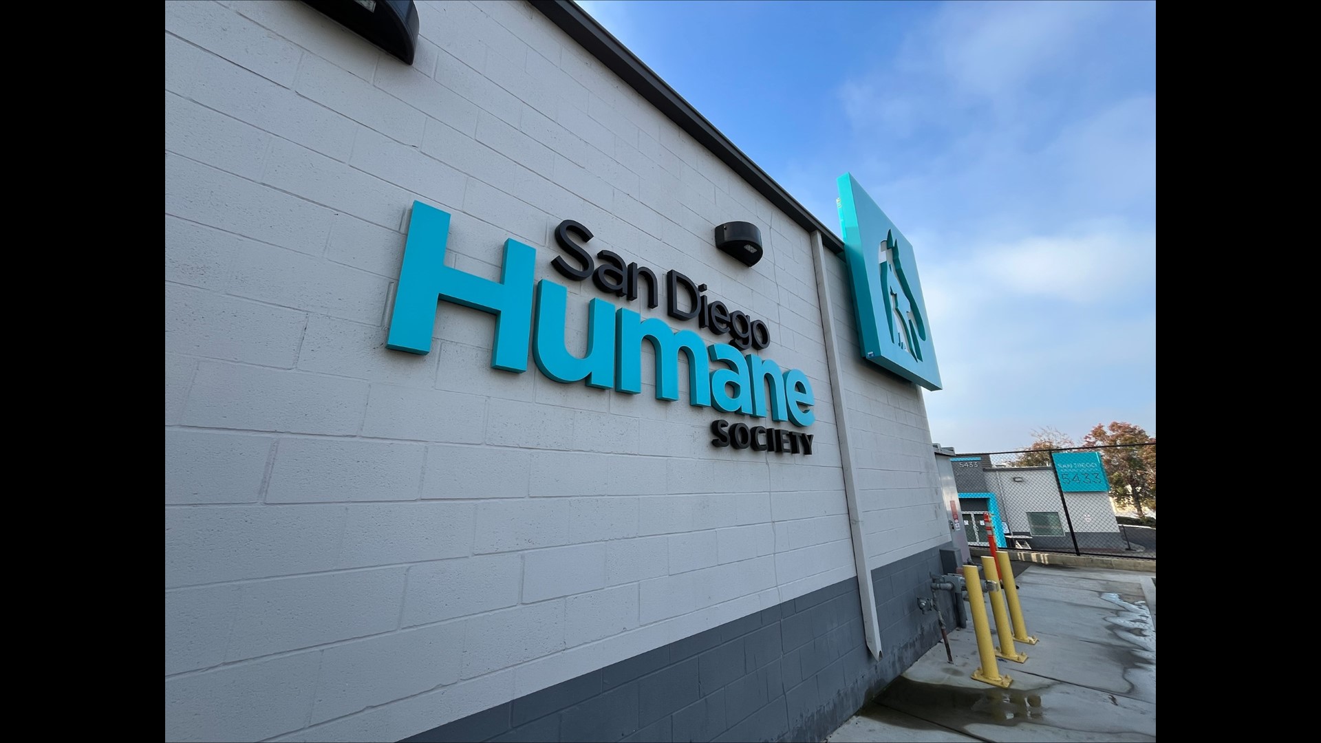 Si, habla Espanol | San Diego Humane Society learns Spanish | cbs8.com