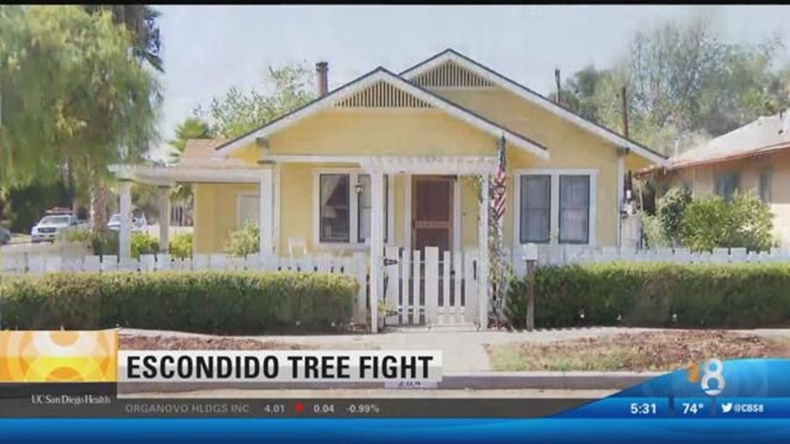 Escondido Tree Fight: Trees come down | cbs8.com