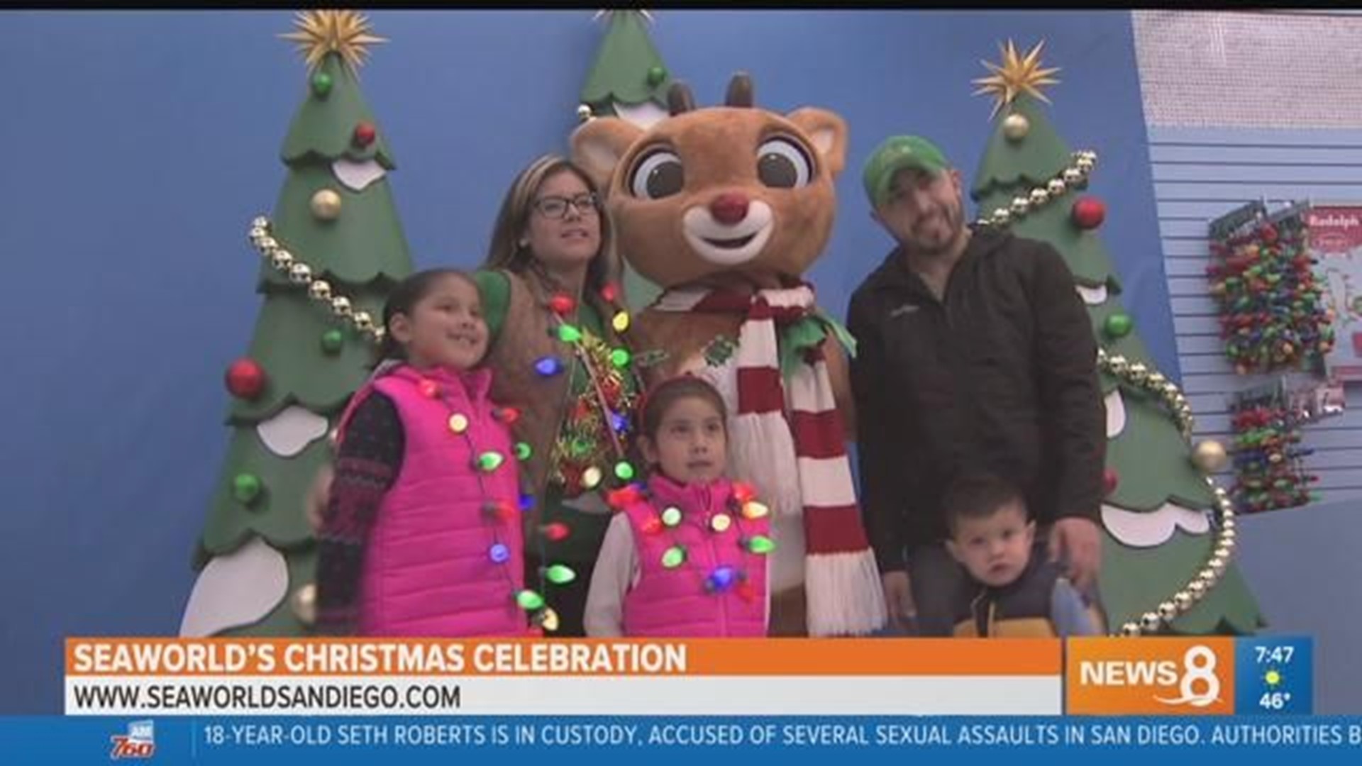 Celebrate Christmas with Santa and animals at SeaWorld | cbs8.com