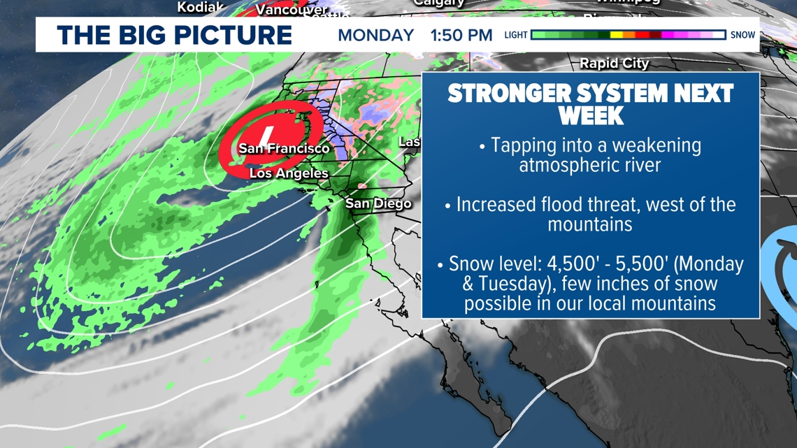 'Save This Life' pet microchip company shuts down | cbs8.com