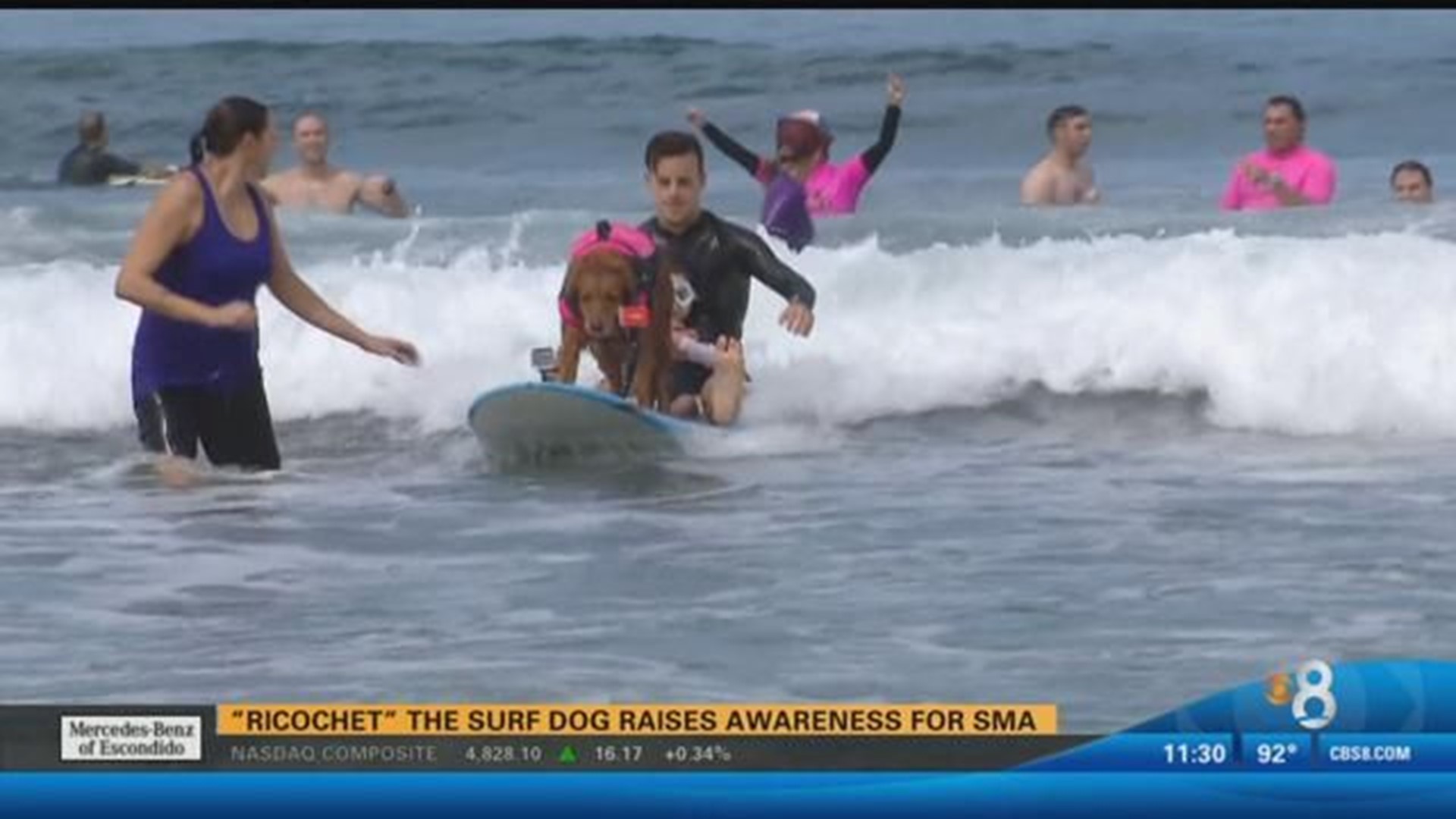 "Ricochet" the surf dog raises awareness for SMA | cbs8.com