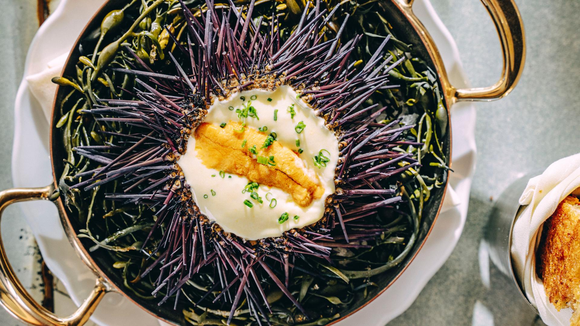 Chef Travis Swikard's highly anticipated 'Fleurette' restaurant opens ...