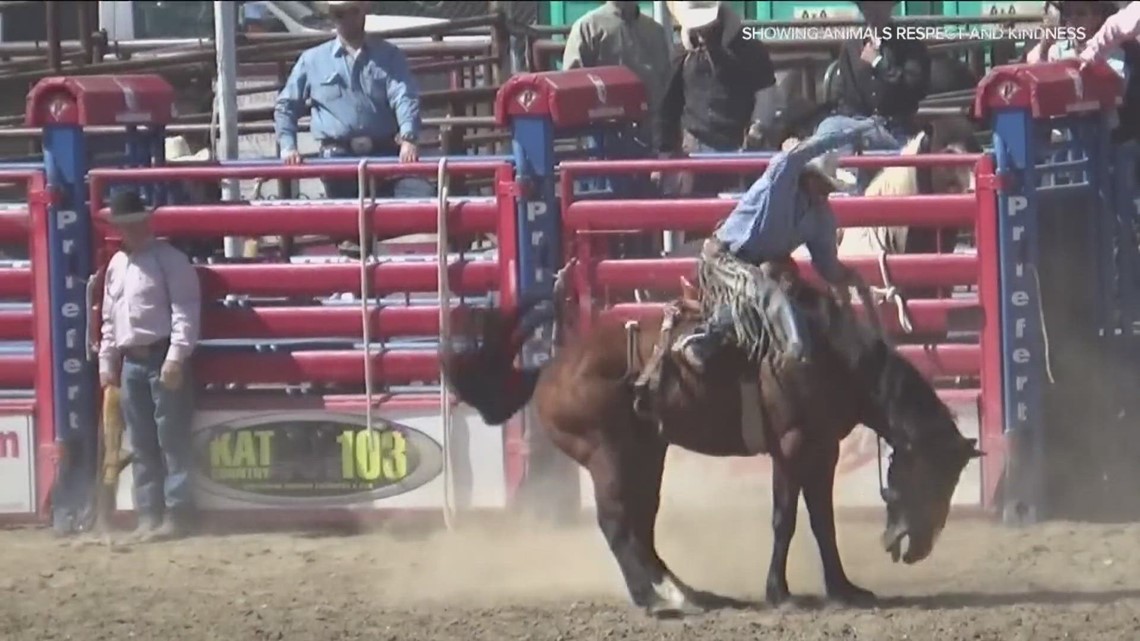 Legal battle ensues over San Diego's first rodeo at Petco Park | cbs8.com