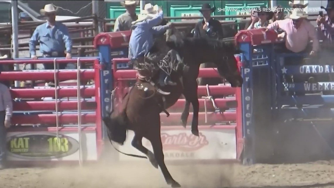 Fate of Petco Park rodeo to be determined next week in court | cbs8.com