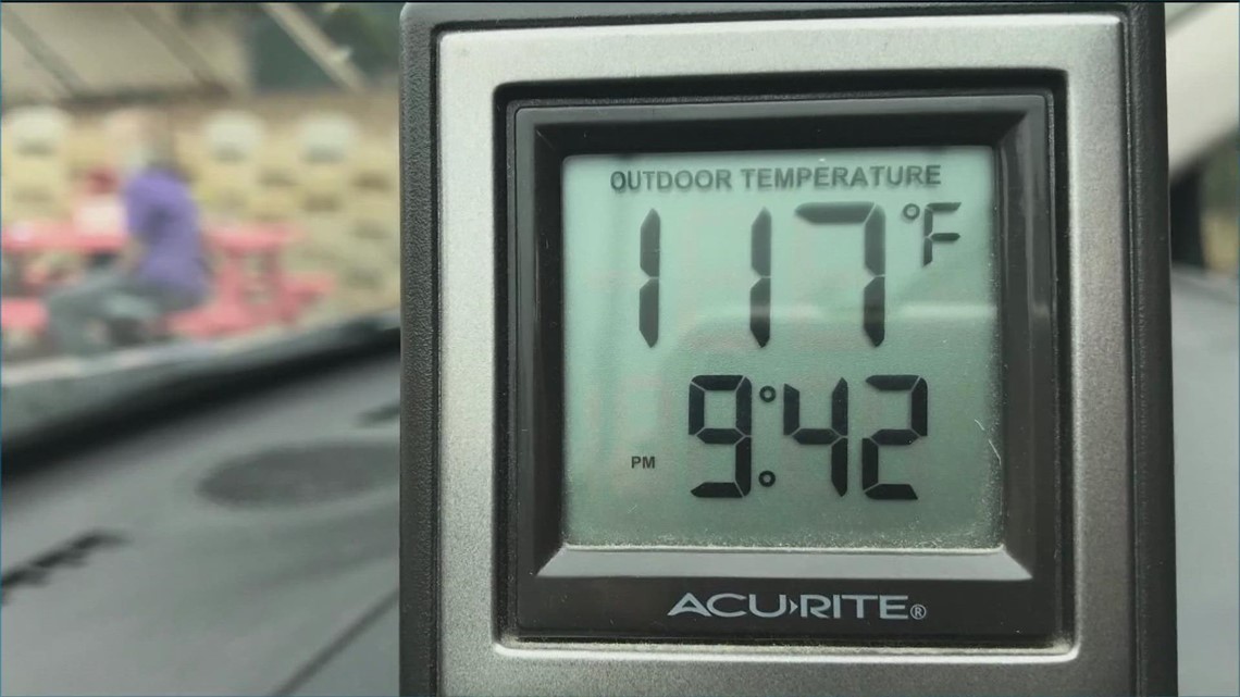Humane Society reminder to not leave pets or children in hot cars ...