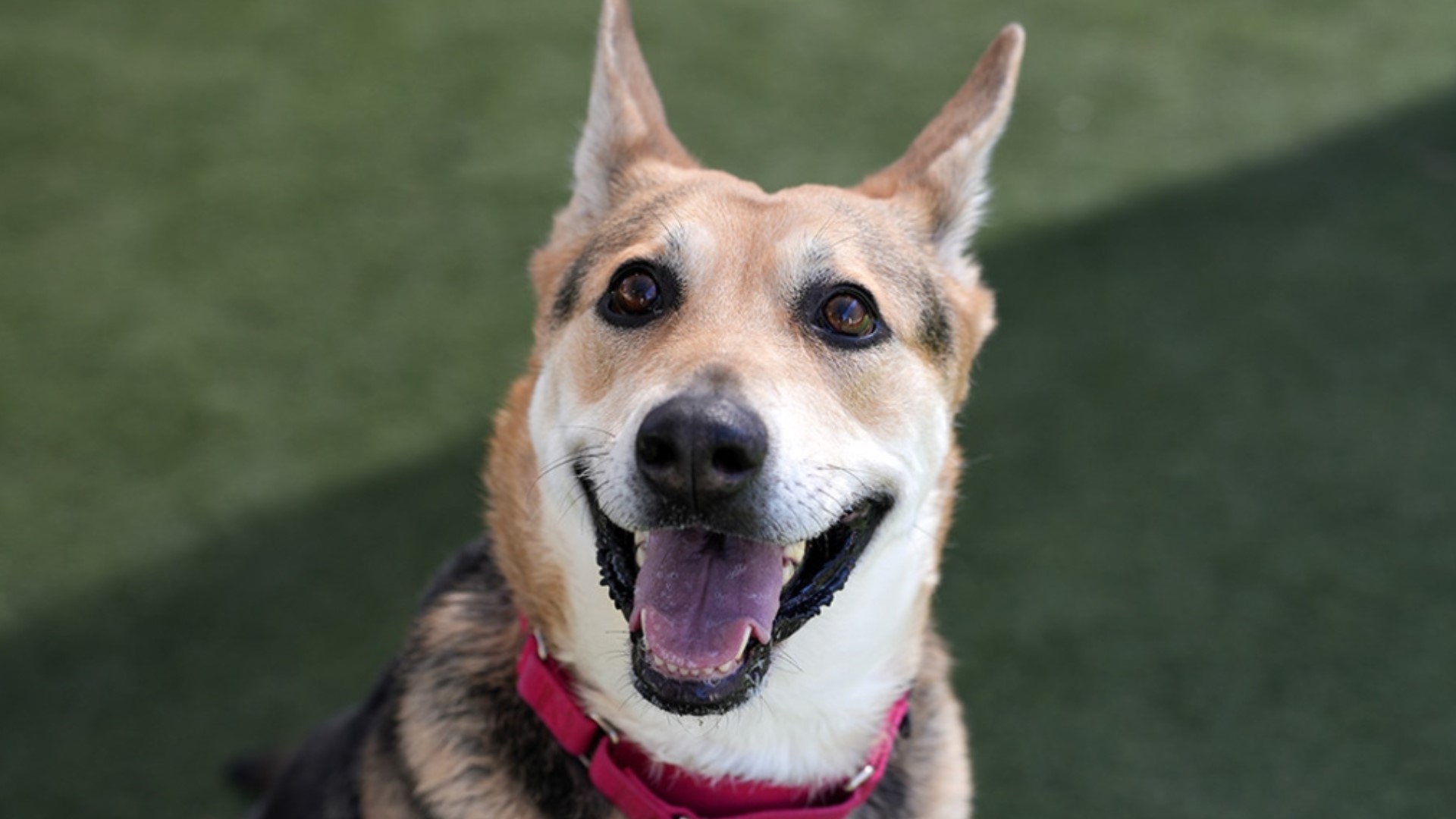 "Cane Fu" Classes Teaching Seniors Self-Defense | cbs8.com