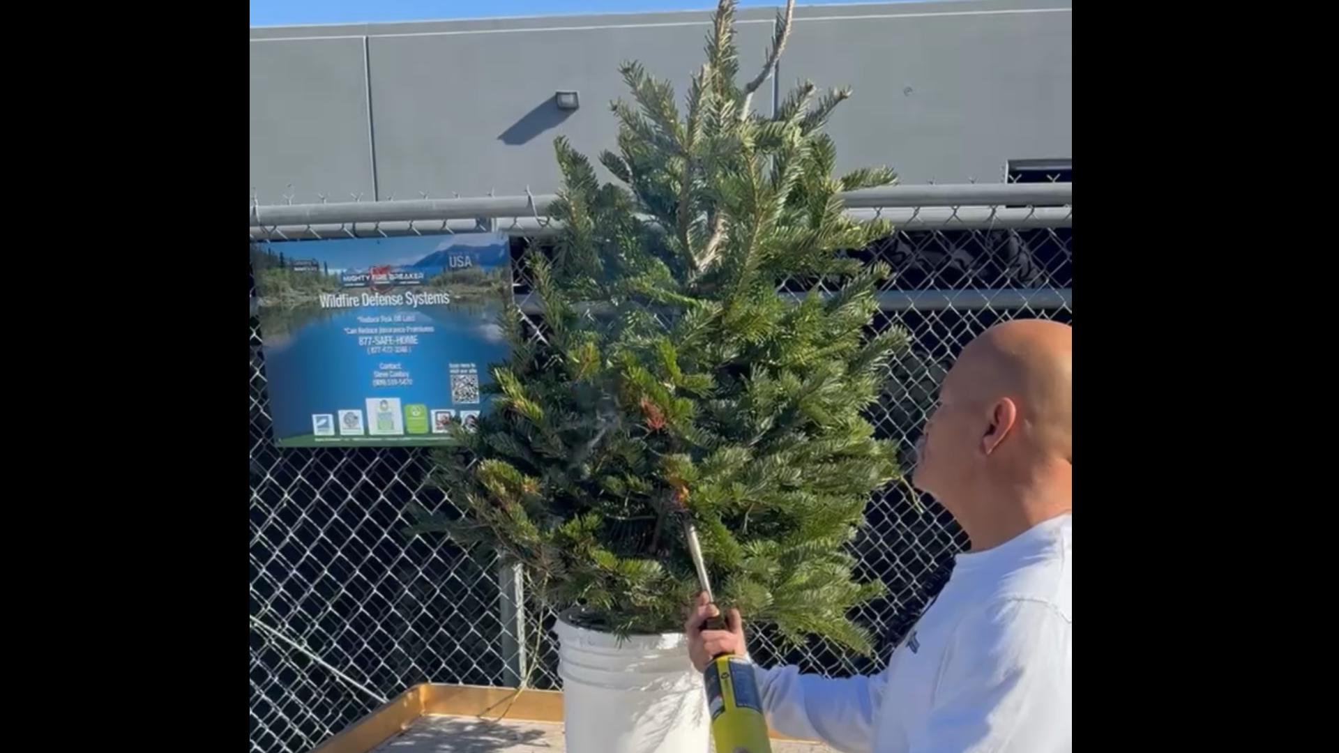 San Diego Fire-Rescue leads with wildfire prevention spray | cbs8.com