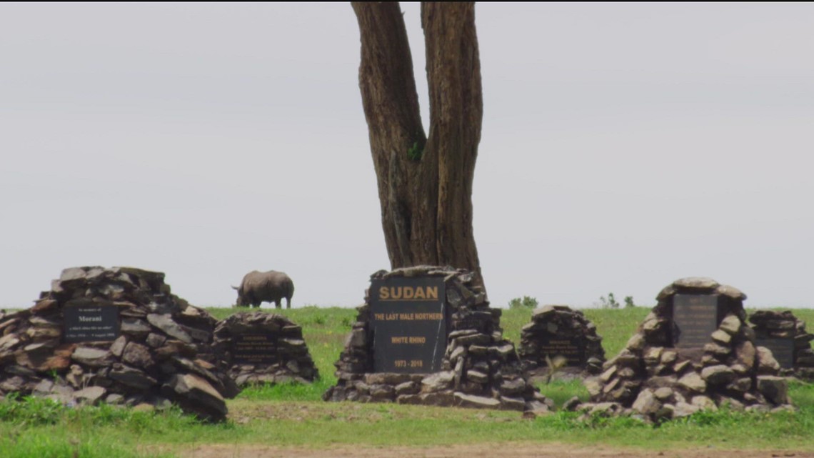 "Why On Earth" documents the plight of animals around the world | cbs8.com