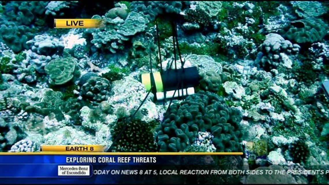 Exploring coral reef threats | cbs8.com