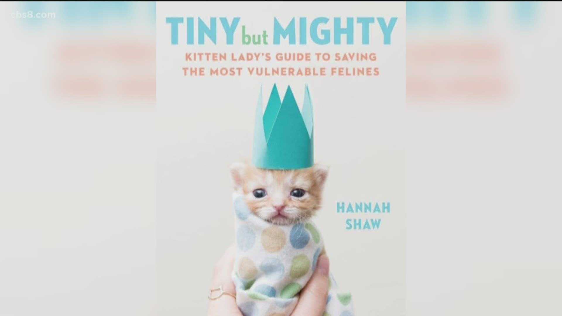 The Kitten Lady launches her new book 'Tiny but Mighty' | cbs8.com