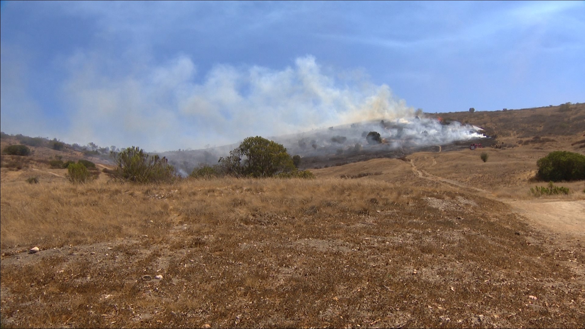 Poway Business Park brush fire contained | cbs8.com