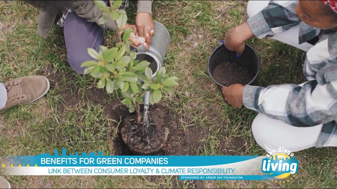 Survey Reveals Benefits of Corporate Climate Action | Link Between ...