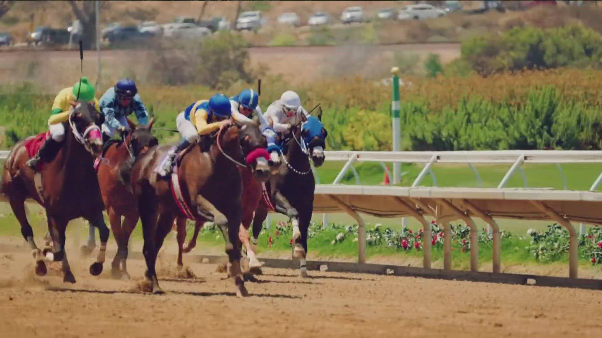 Del Mar Race Track, Races, Opening Day, Hats, Fashion, Horse Racing ...