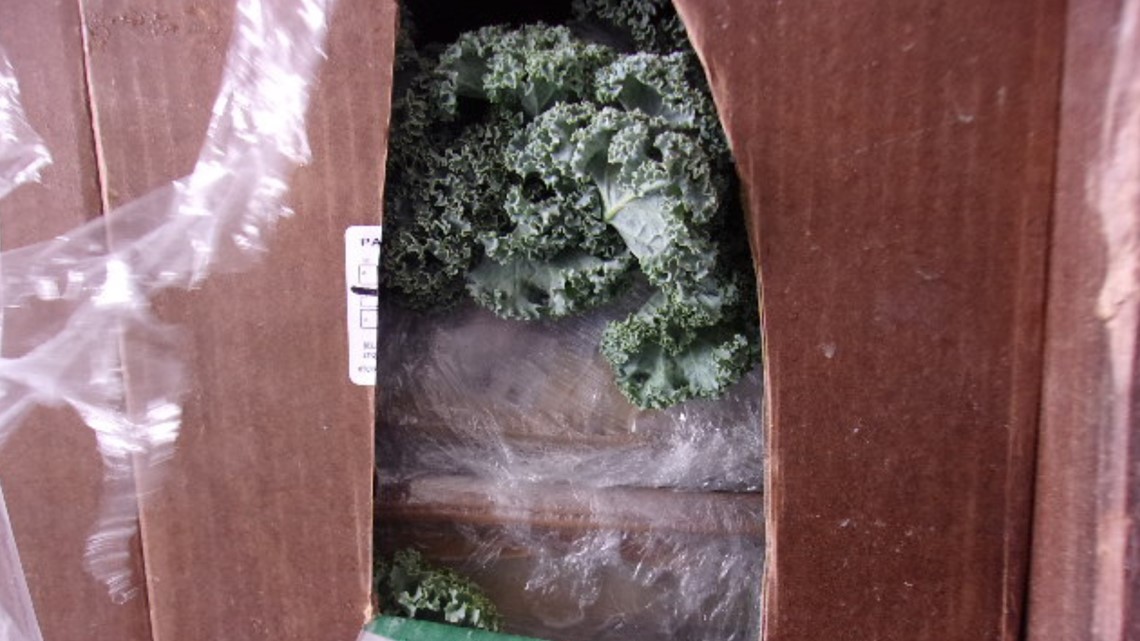 $38M worth of meth found hidden in kale at U.S.-Mexico border | cbs8.com