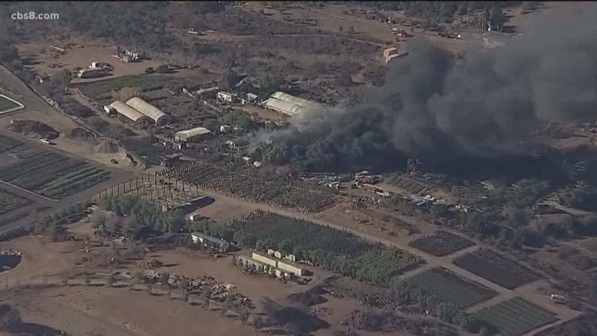 Man suffers minor burns during Oceanside nursery fire | cbs8.com