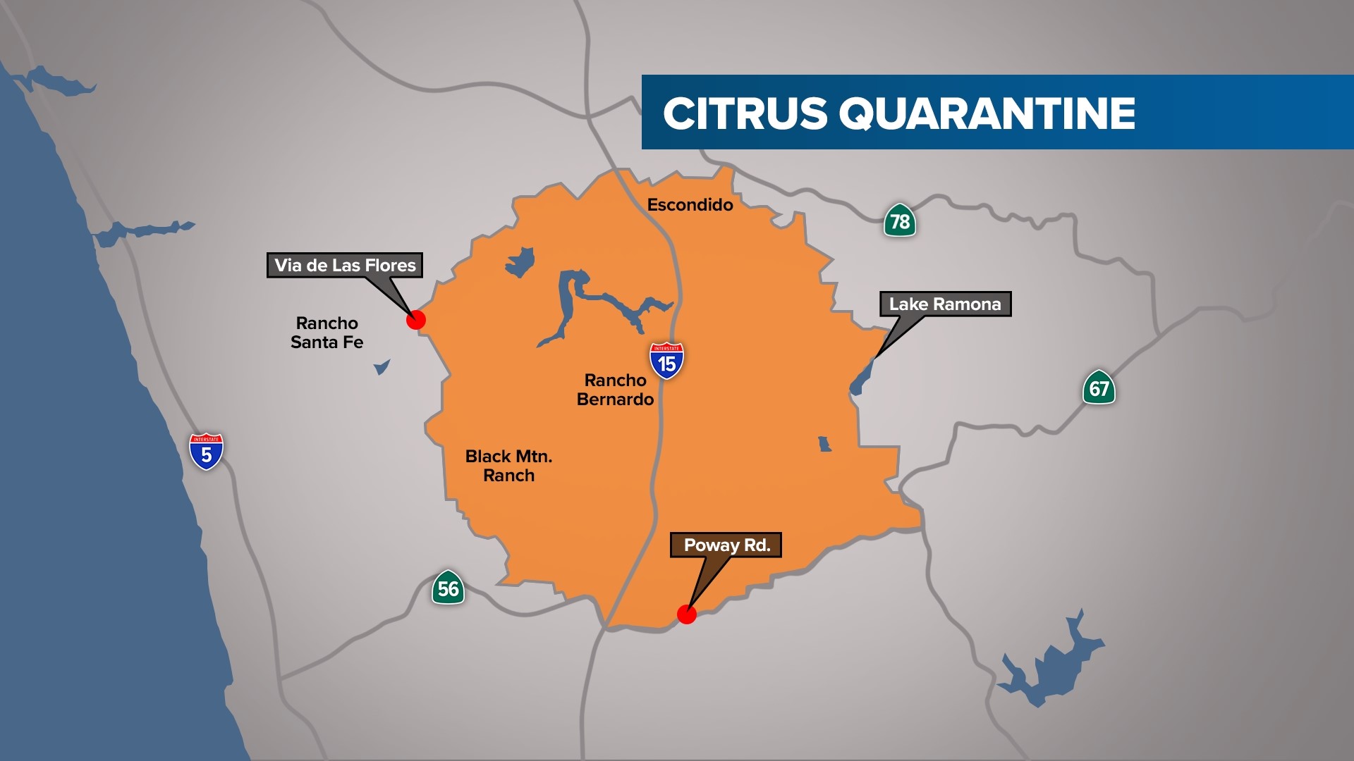 Citrus plant disease discovered in San Diego | cbs8.com