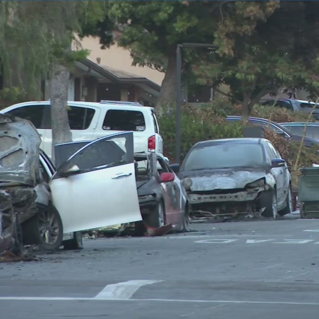 Wife of San Diego man who died in Murphy Canyon plane crash files ...