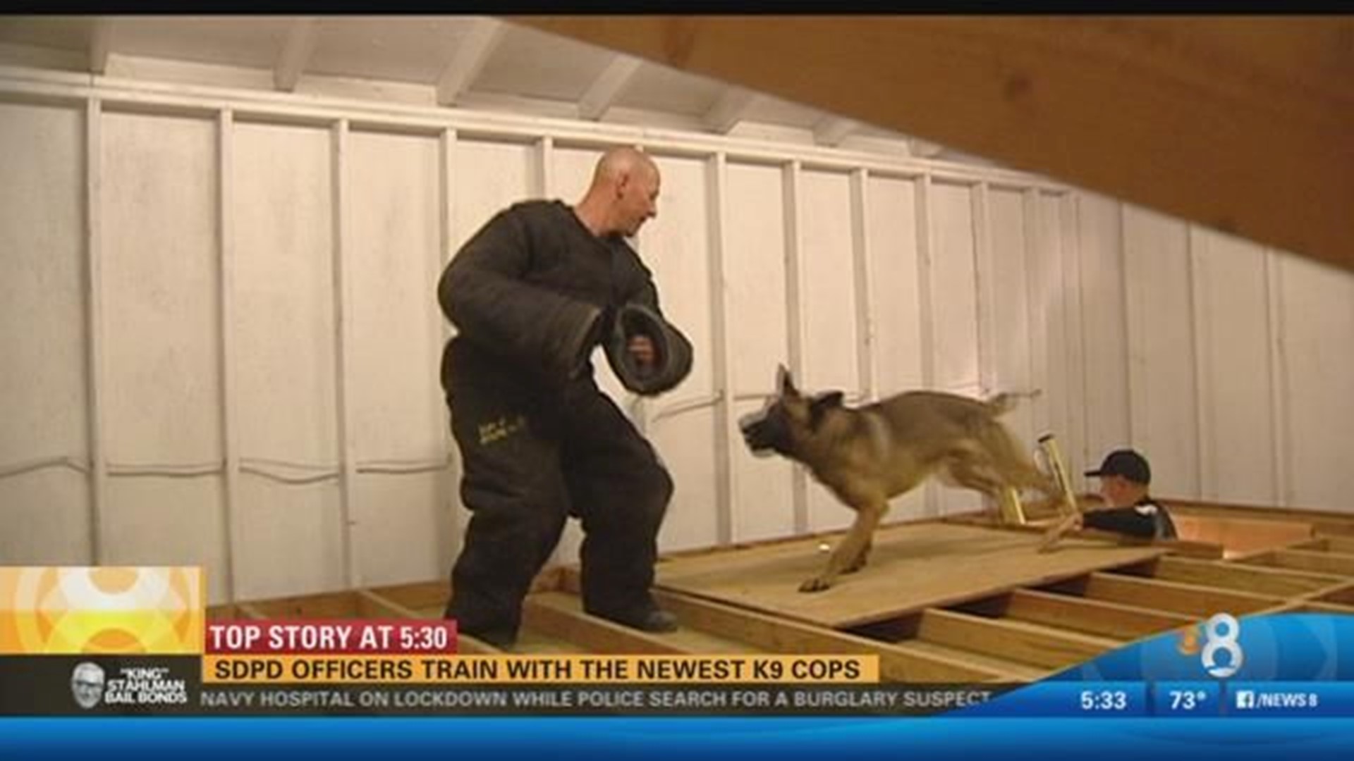 SDPD officers train with new K-9's | cbs8.com