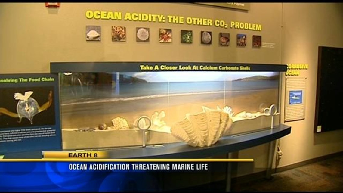 Ocean acidification threatening marine life | cbs8.com