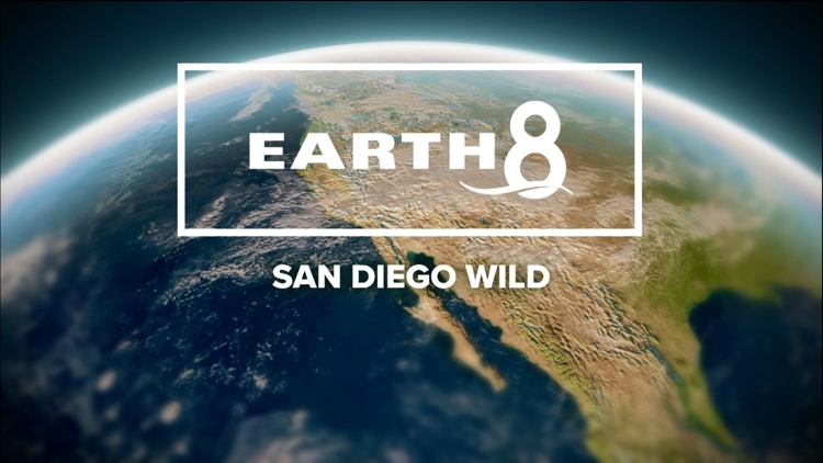 Earth 8 | cbs8.com