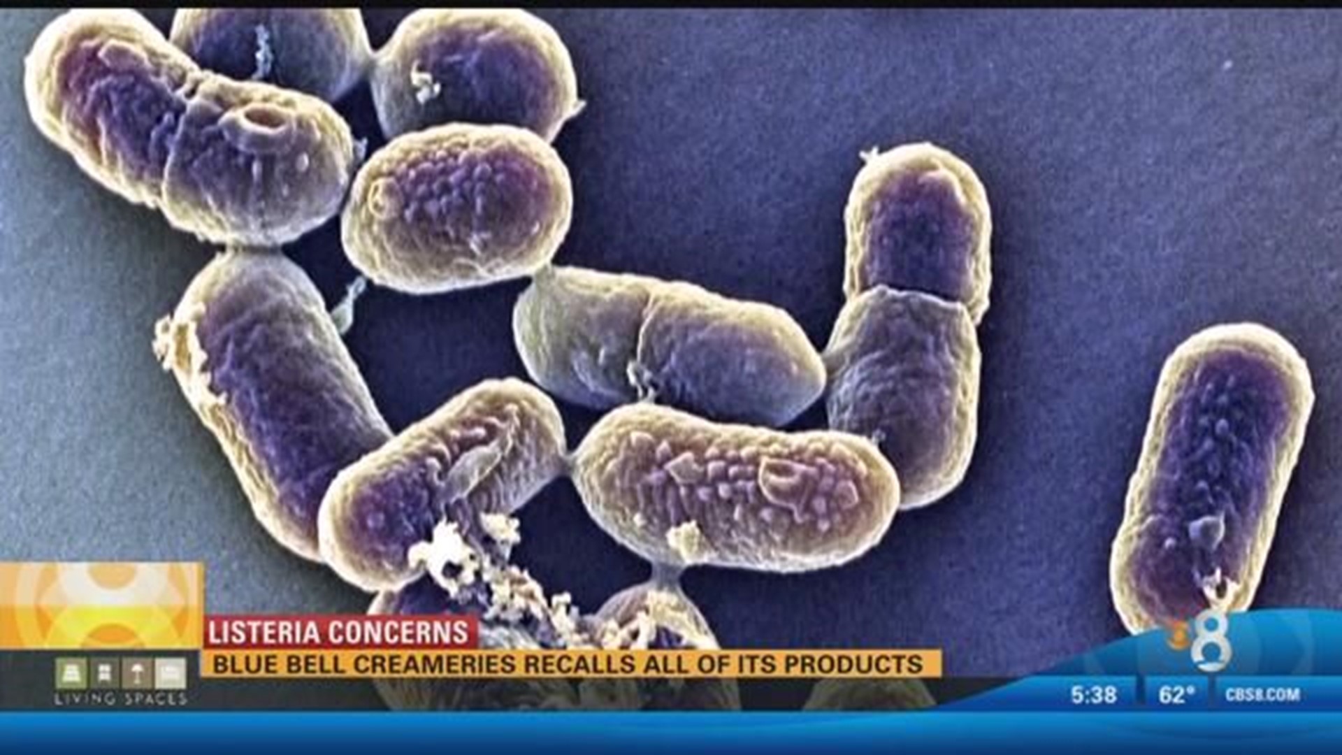 Bird flu takes biggest toll yet as virus hits chicken farms | cbs8.com