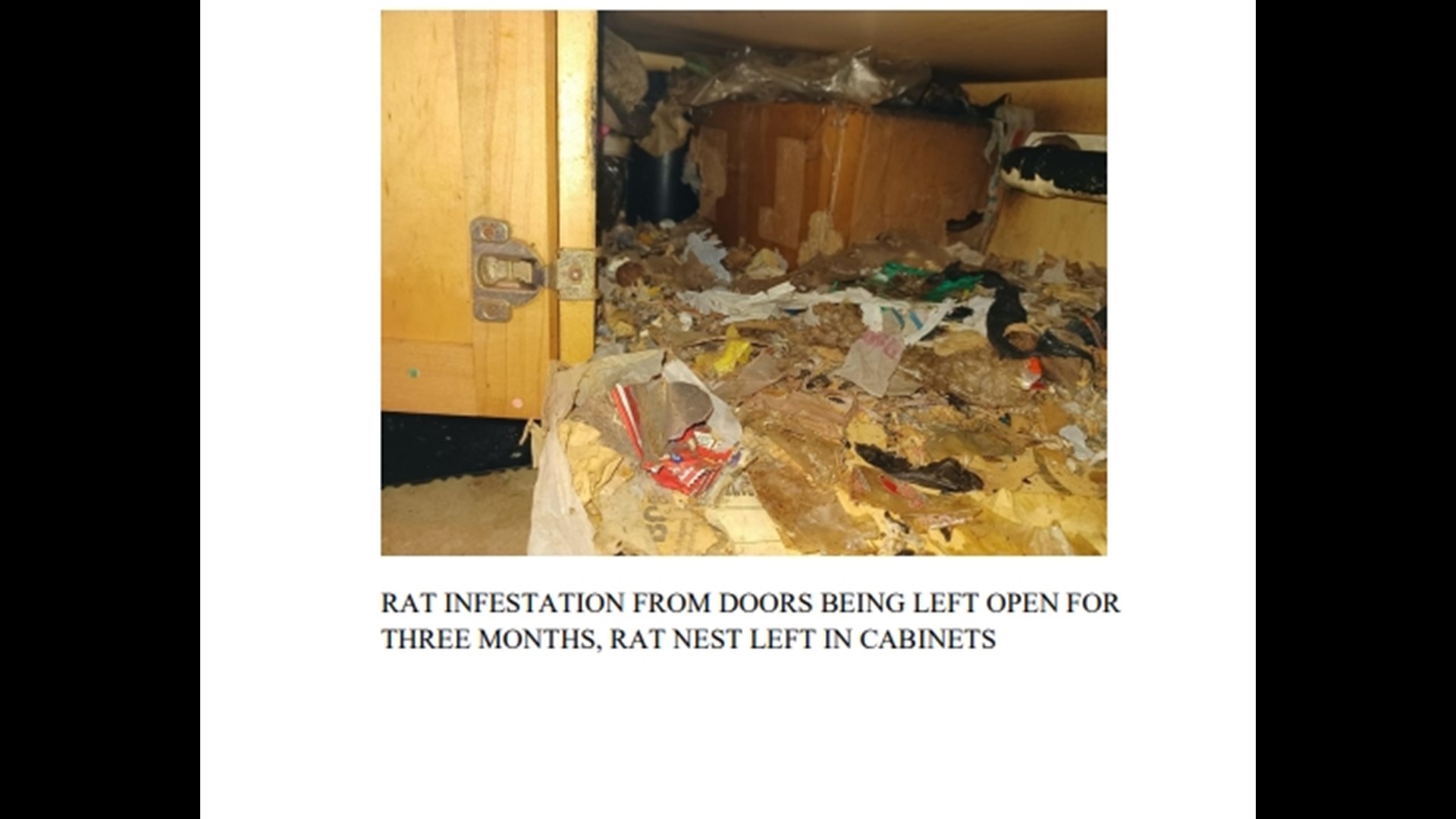 San Diego neighbors fight to clean 'hoarder house' near border | cbs8.com