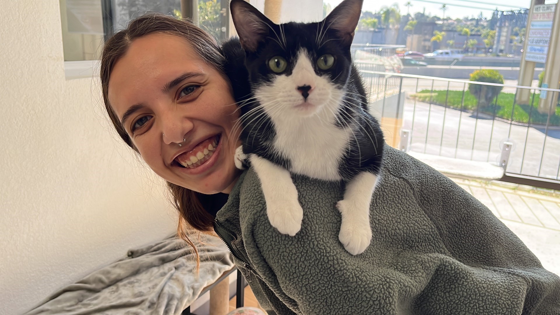 Cat-cuddle hour at San Diego County's premier cat shelter | cbs8.com