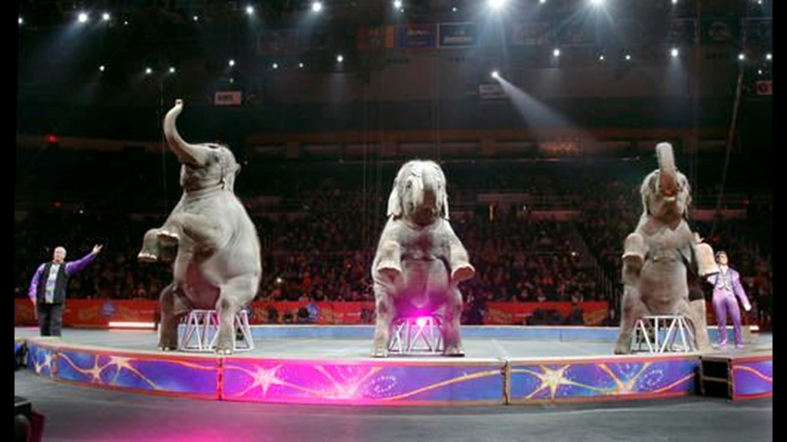 Last dance: Final performance for Ringling Bros. elephants | cbs8.com