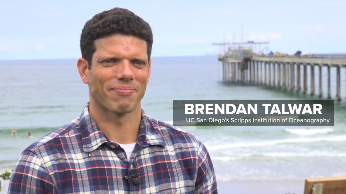 'All the Sharks' Netflix reality competition | Full interview with San ...