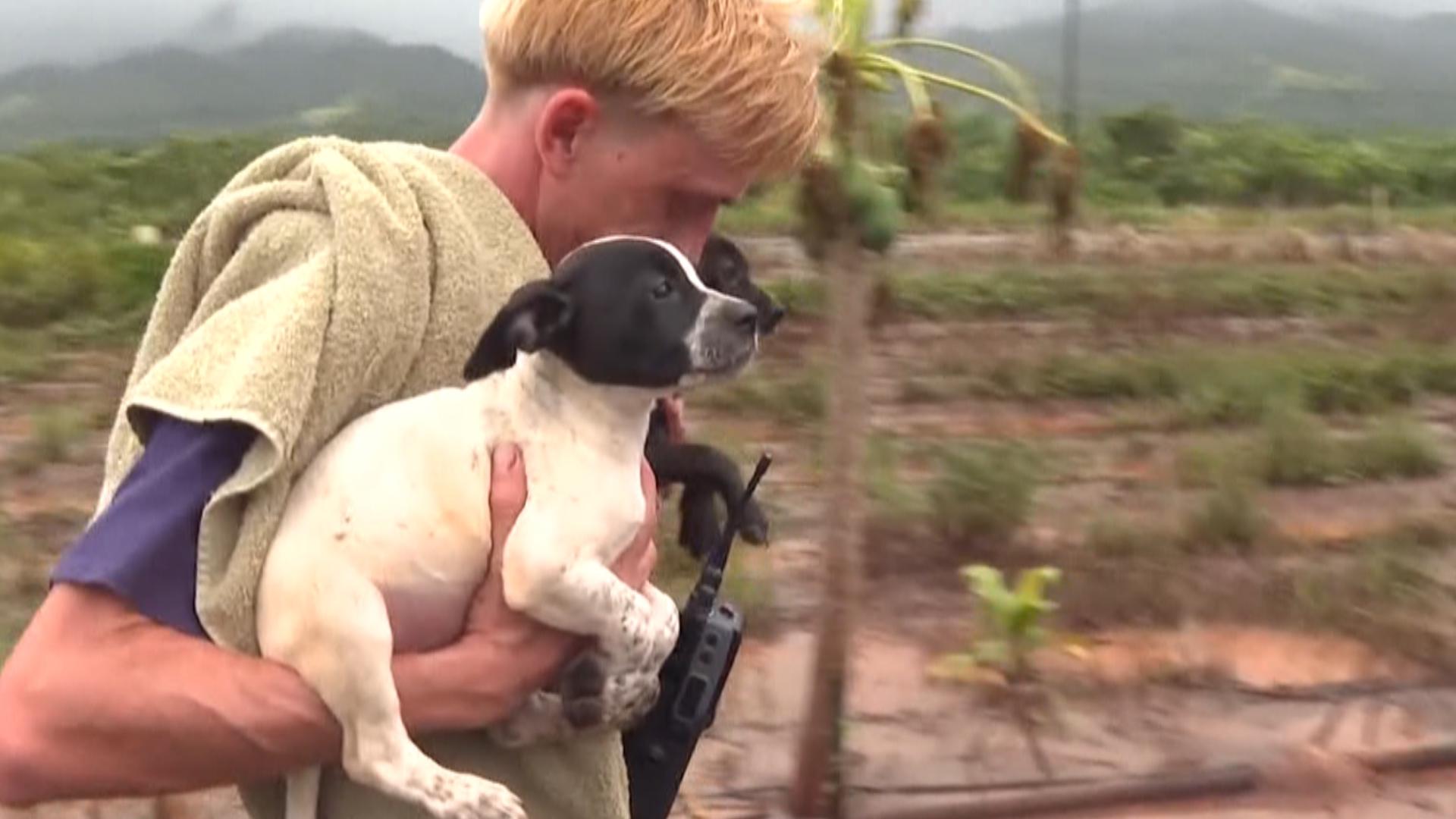 Hawaiian Humane Society rescues more than 170 animals after Oahu ...