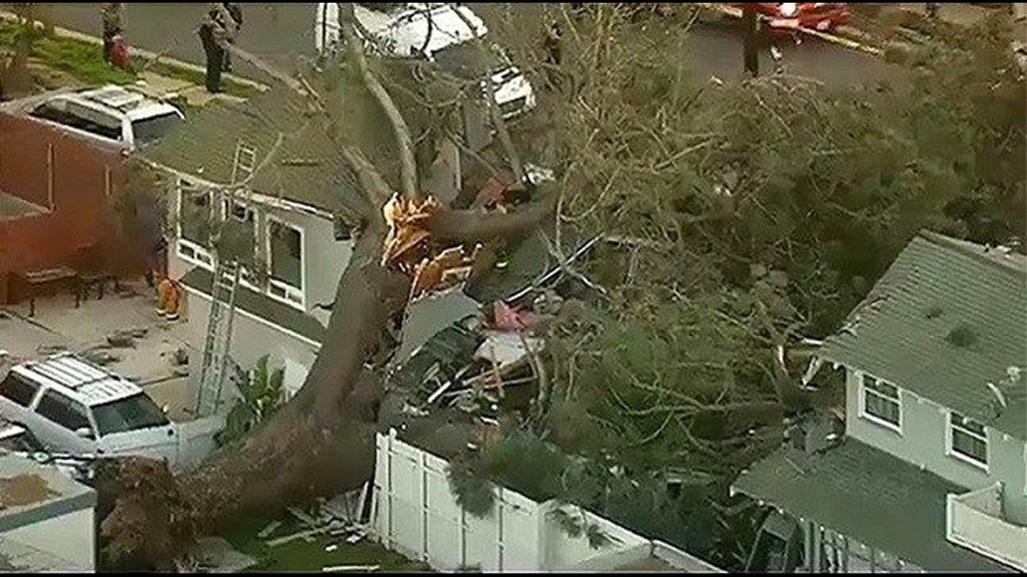 Point Loma Heights: Tree falls on house killing couple from North ...
