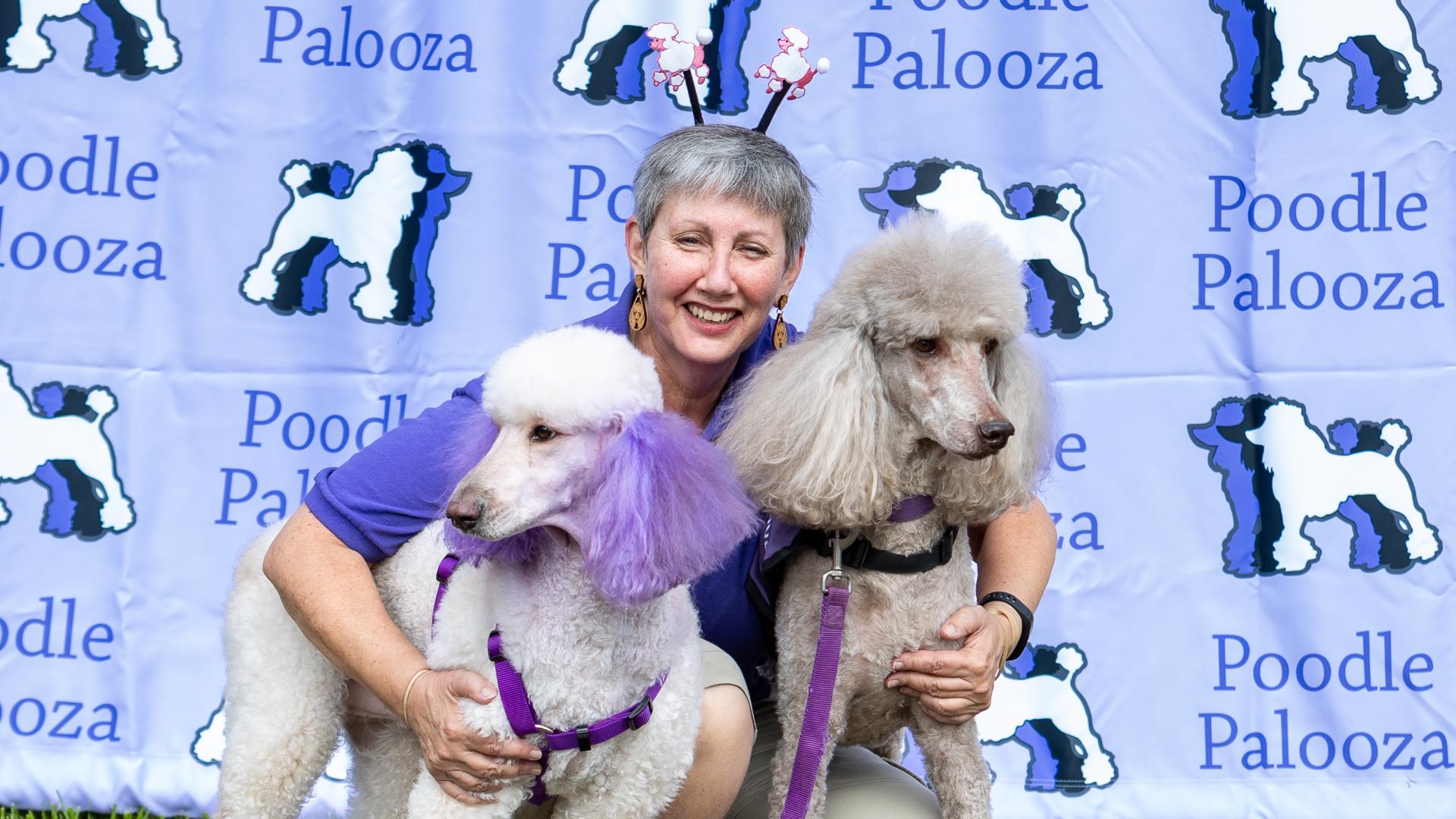 Therapy poodles bring joy to San Diego seniors | cbs8.com
